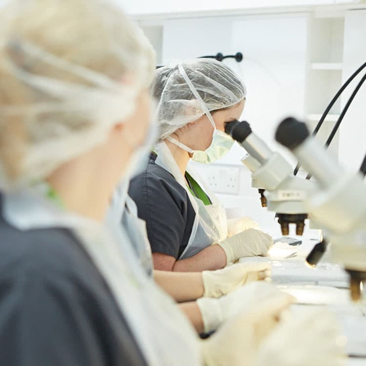 Farjo Hair Institute | FUT, FUE, ARTAS® Hair Transplant Surgery